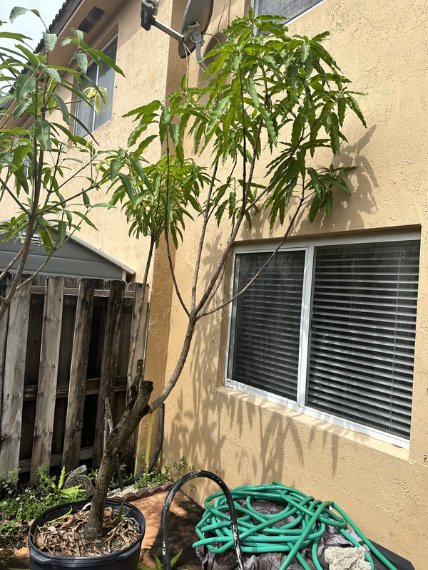 IMG 8427 — Postimages