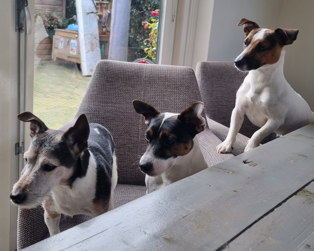 20221120 111223 — Postimages