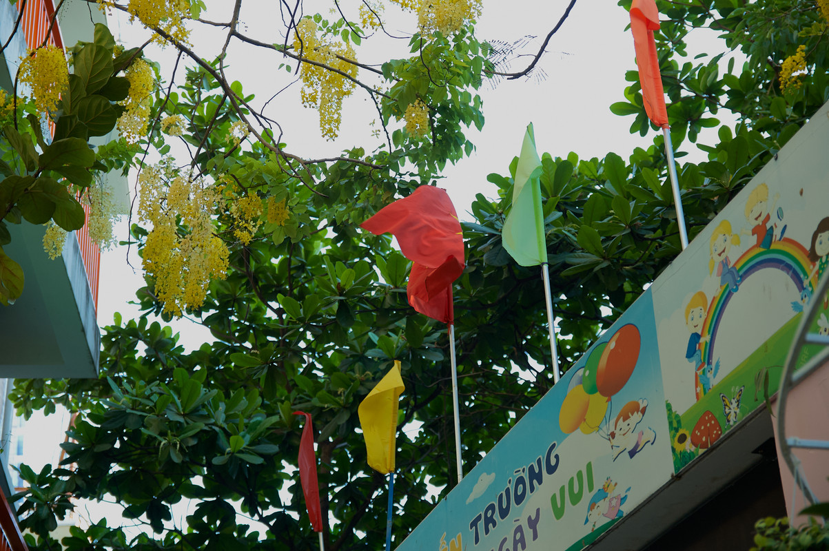 DSC 0025 — Postimages