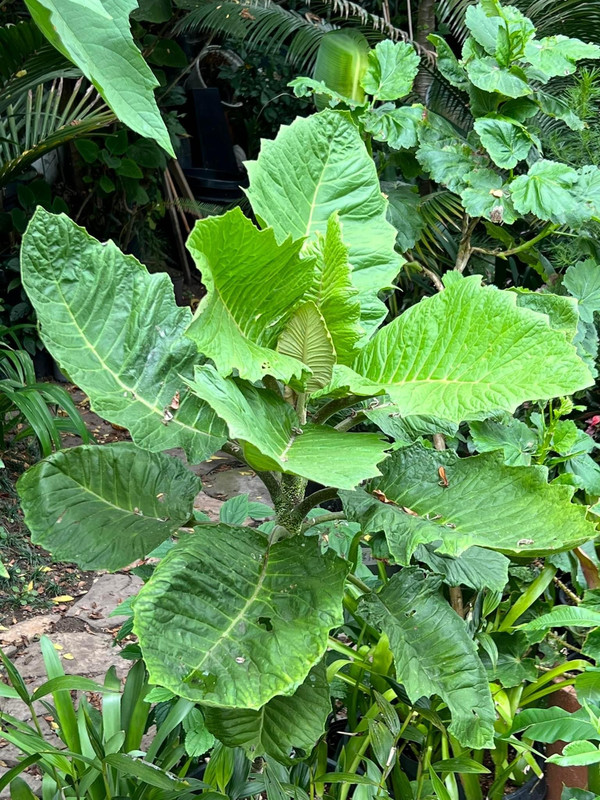 IMG 5643 — Postimages