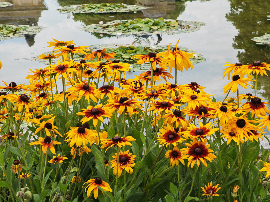 IMG 20230720 094354 — Postimages