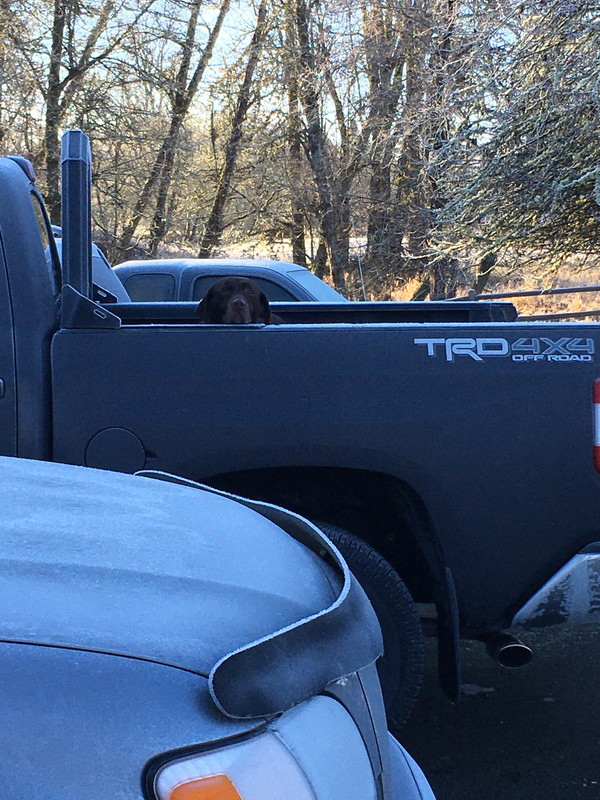 ED0 CD56 B 9 A25 40 F9 8 BBA BEC6 AB392577 — Postimages