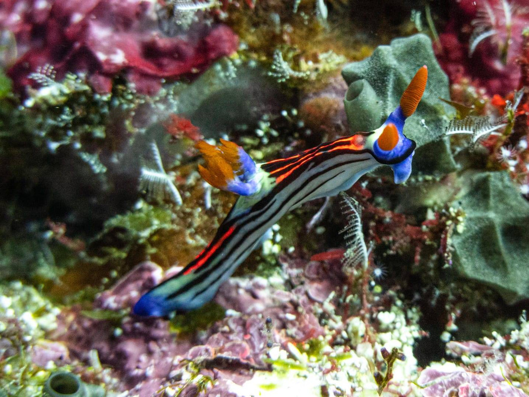 546914 0 — Postimages