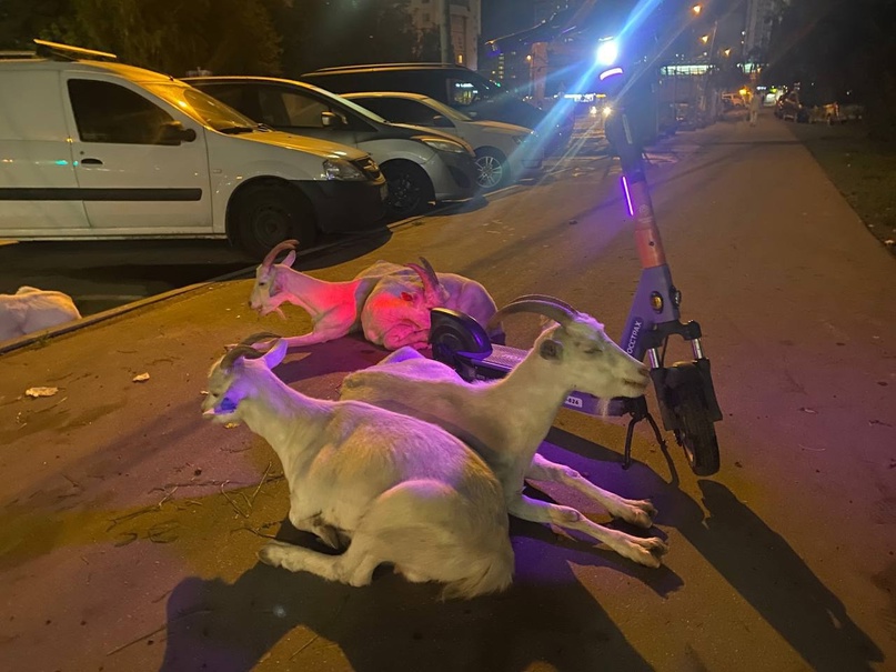 RoboVPS® offers: KVM SSD VPS plans in Moscow, Russia — LowEndTalk