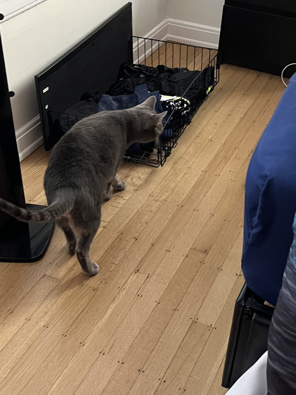 IMG 0804 — Postimages