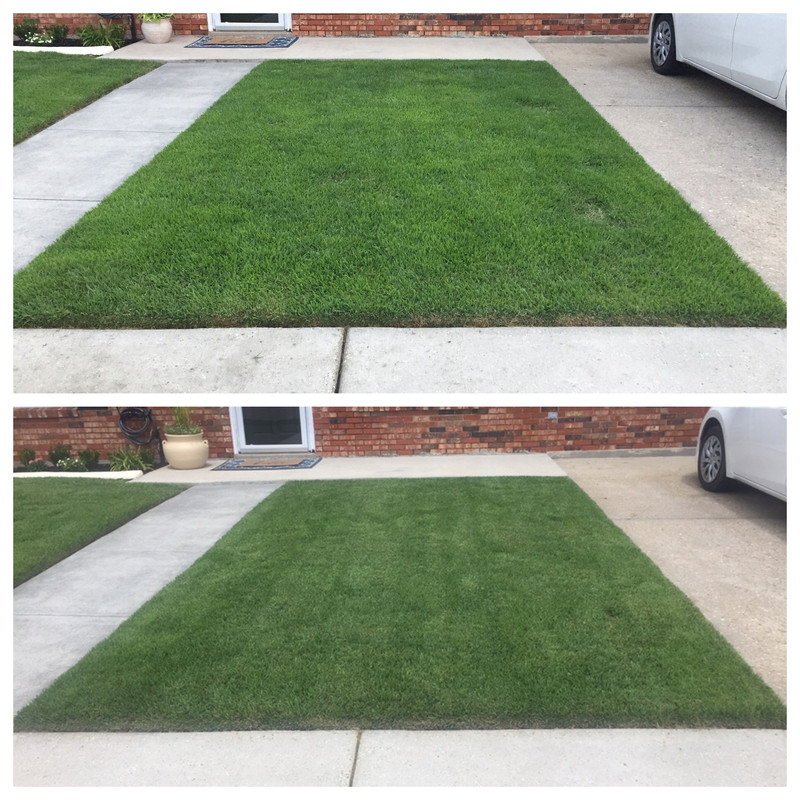 IMG 8253 — Postimages