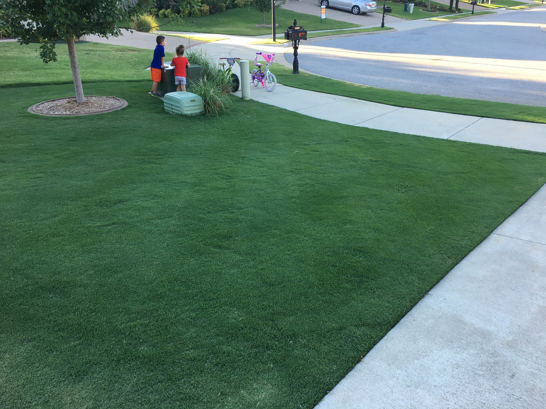 IMG 3498 — Postimages