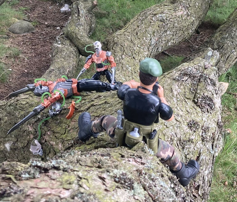 B6 F6747 E 2 F6 D 48 C7 8390 0 F773 E3 B53 CB — Postimages