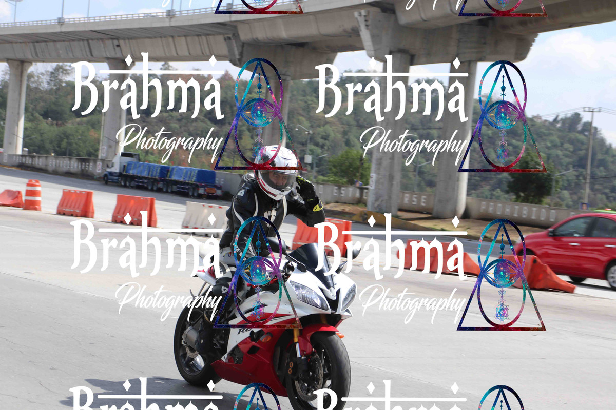 IMG 2539 — Postimages