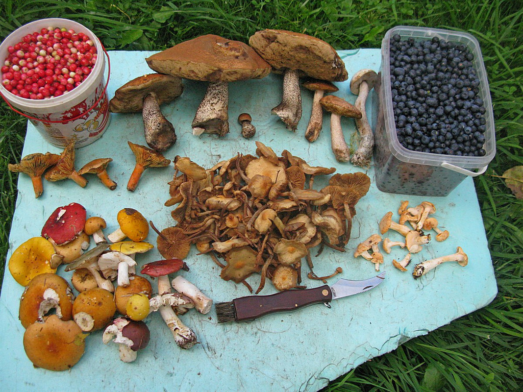 IMG 4523 — Postimages