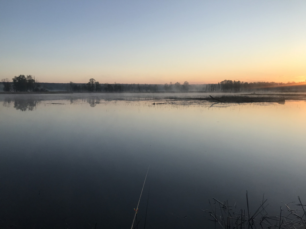 0 FC0 F771 8404 4657 A5 D2 FDACEE58 ABC2 — Postimages