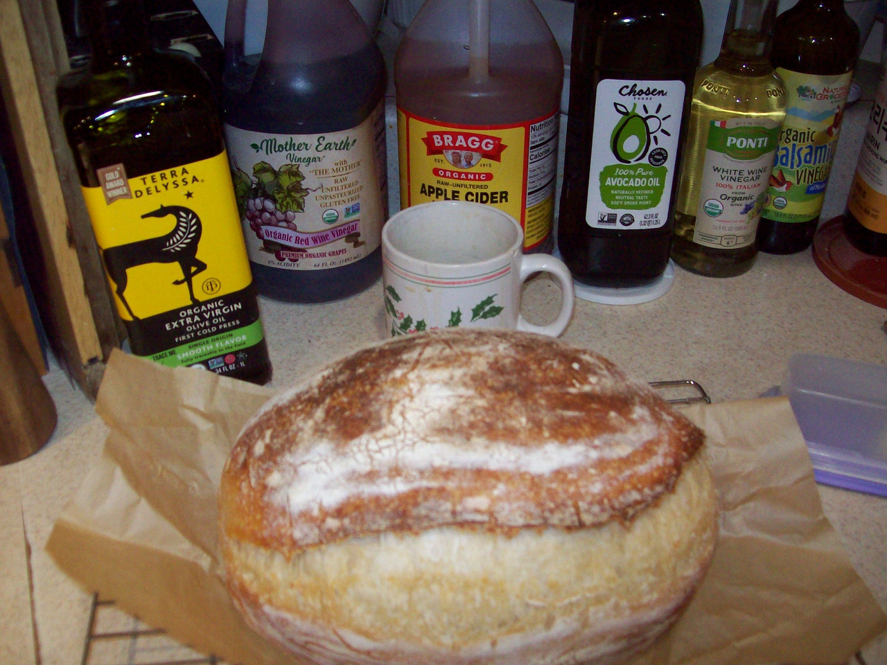 The Garden Thread - December, 2025