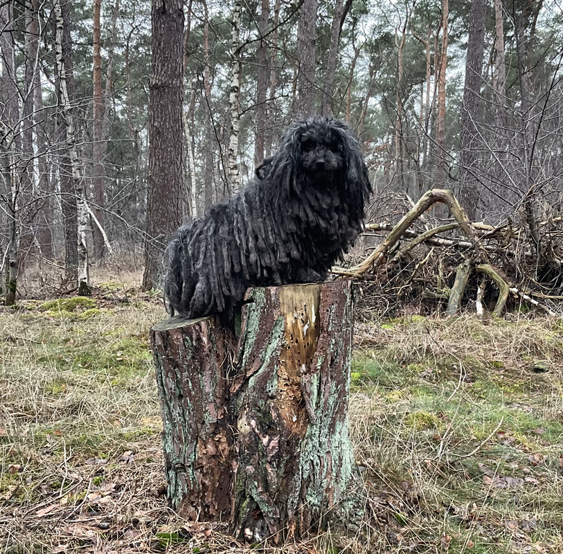 426 ED34 A 4 ED3 49 BF A637 1 DCF8690 C300 — Postimages