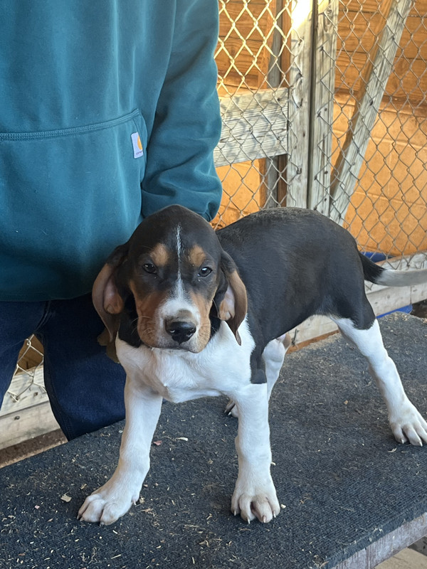 IMG 1848 — Postimages