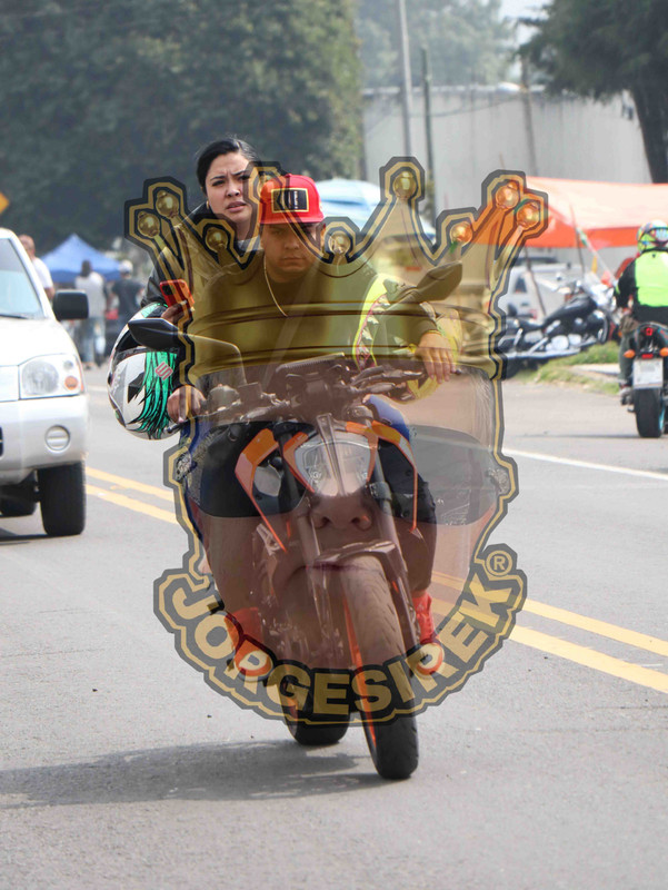 IMG 8626 — Postimages