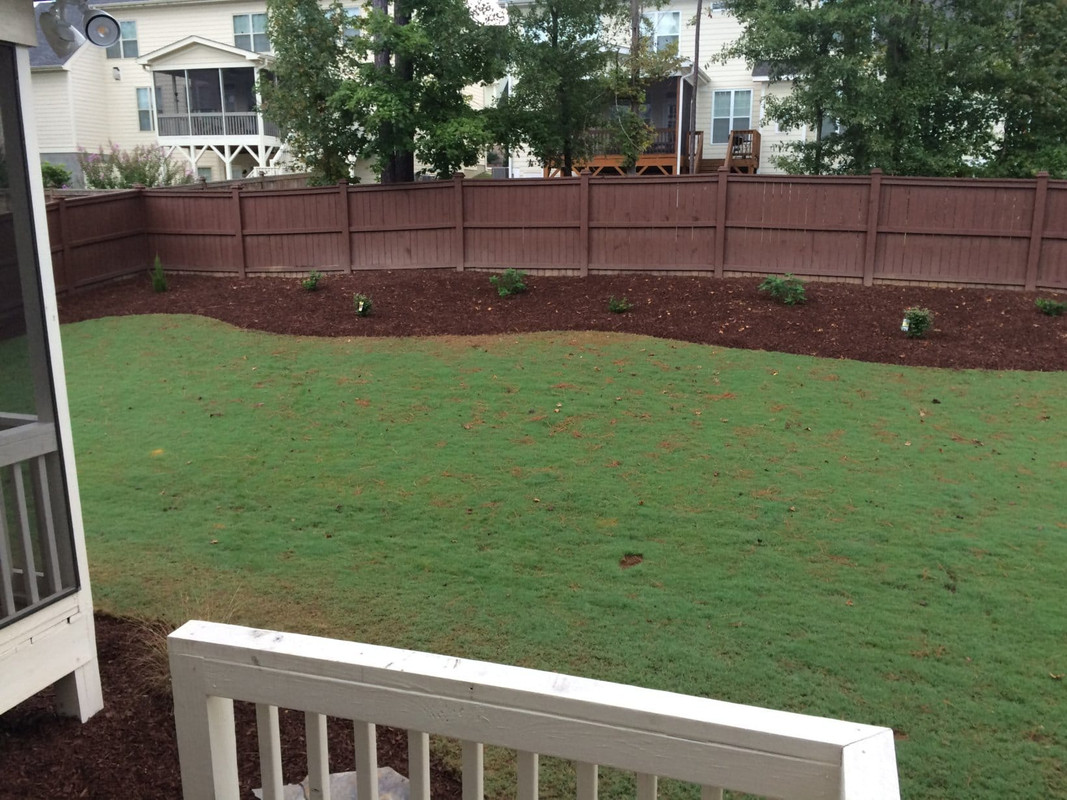 Backyard Post Landscape 1 — Postimages