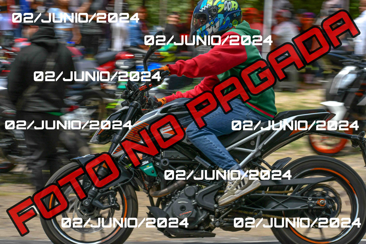 CC 2562 — Postimages