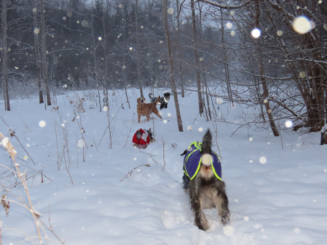 IMG 0746 — Postimages