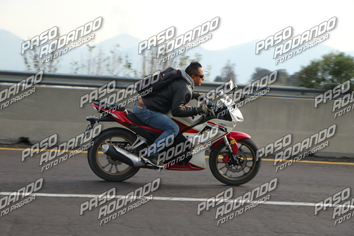 IMG 4255 wm 2272856 watermarked — Postimages