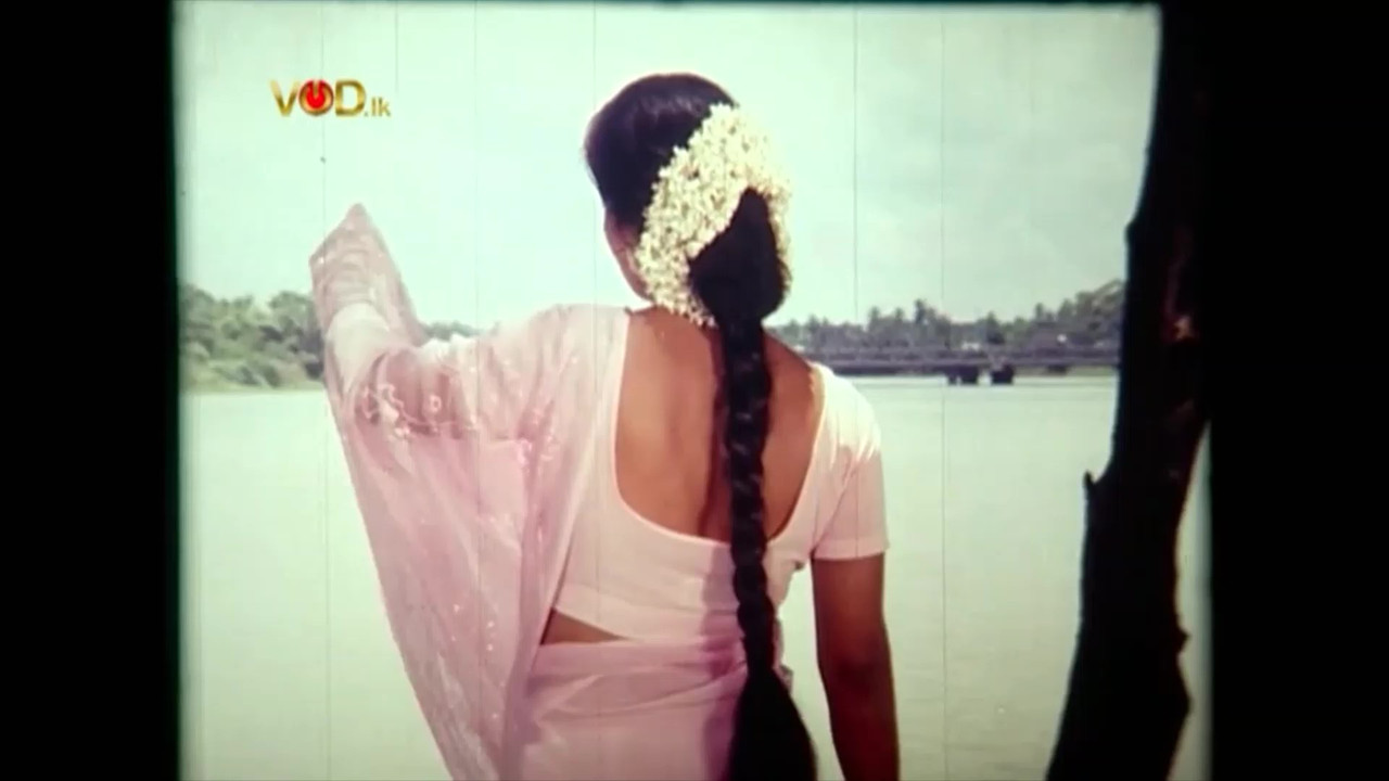 Assorted Collections Moment — Postimages