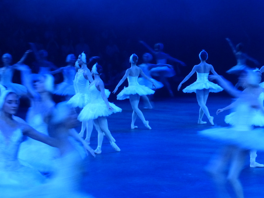 English National Ballet's Swan Lake in-the-round, Royal Albert Hall, 13 ...
