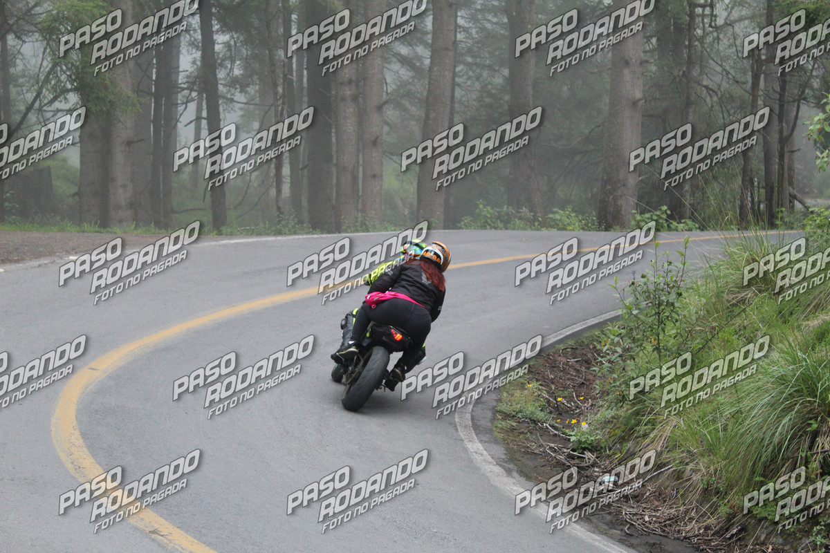 IMG 0176 wm 94602 5 watermarked — Postimages