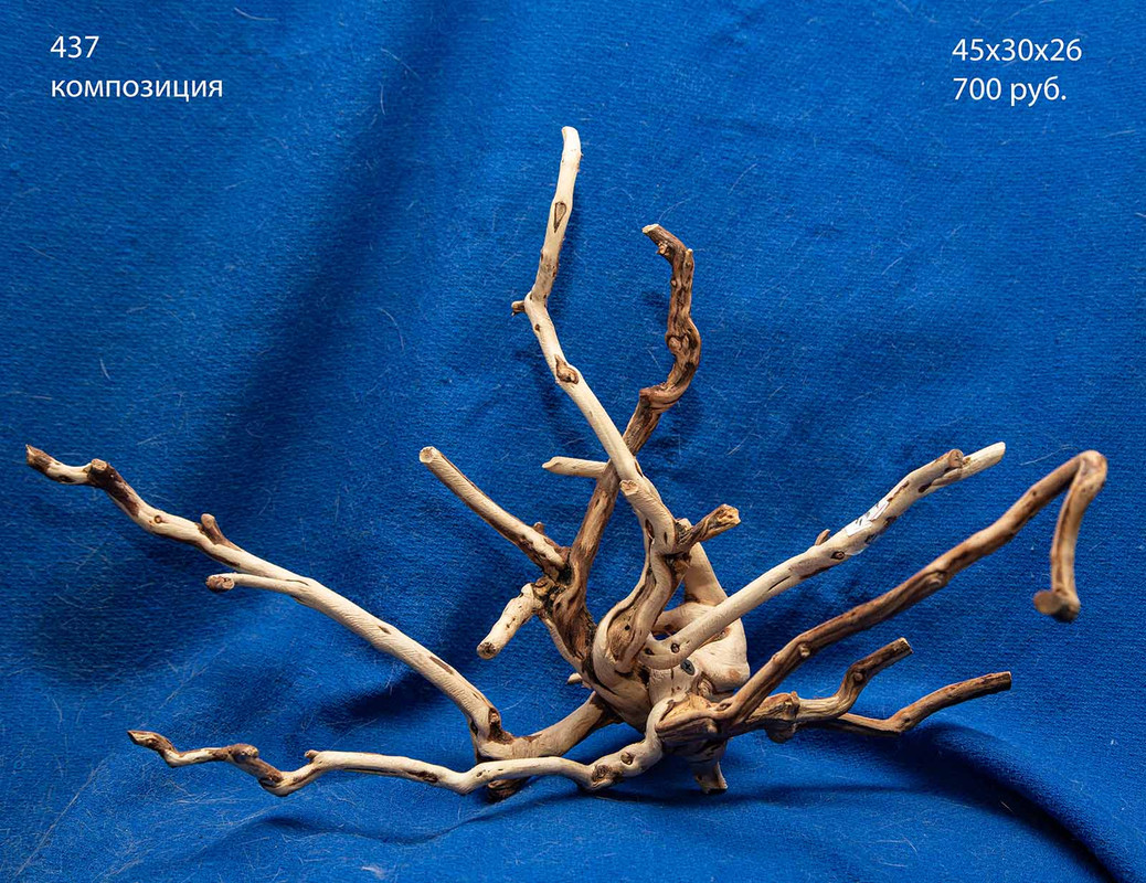 IMG 3728 — Postimages