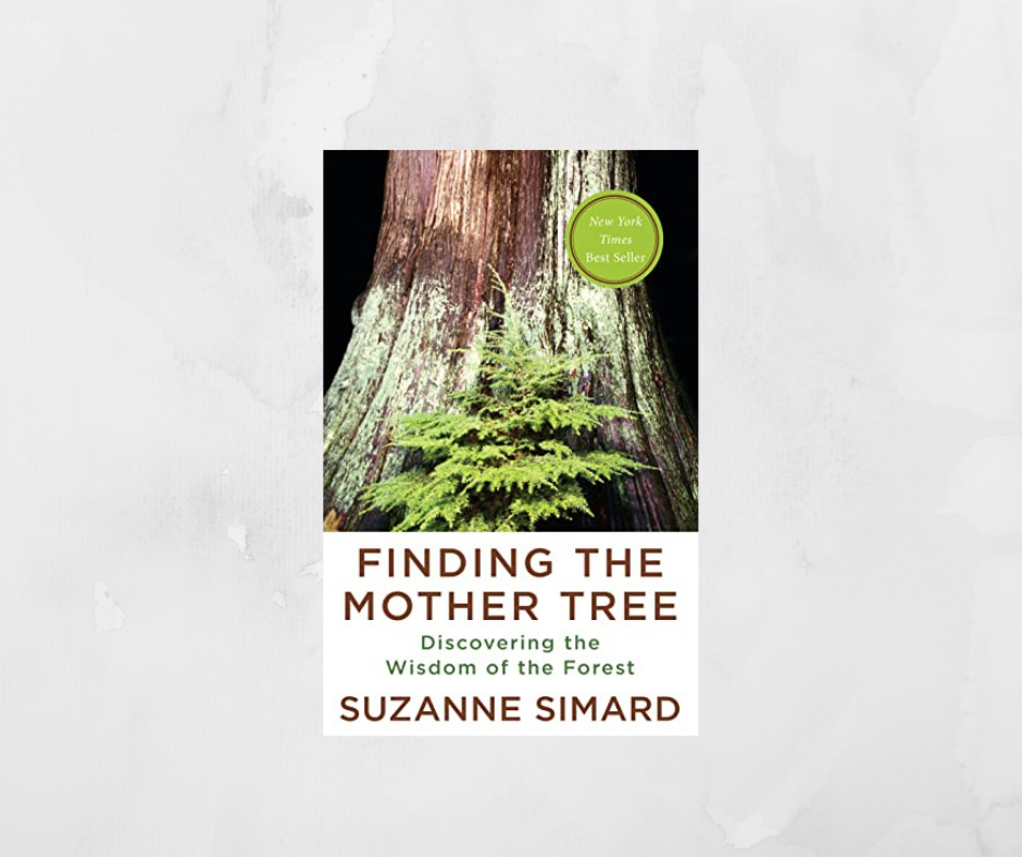 Some trees are like mothers: A review of Finding the Mother Tree | The ...