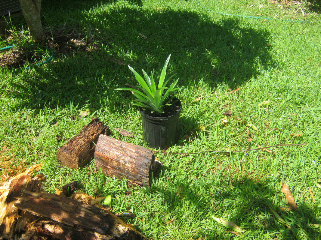 IMG 0087 — Postimages