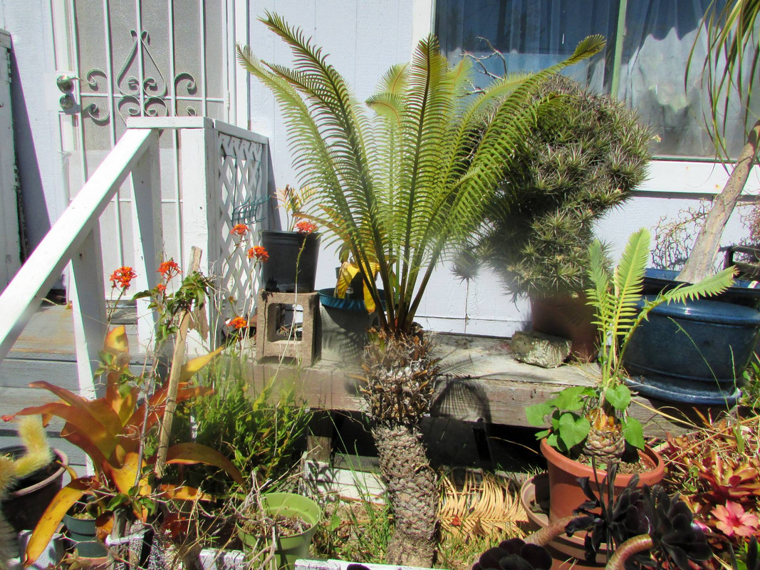 IMG 4643 — Postimages