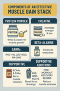 Best Supplement Stack for Muscle Gain and Strength