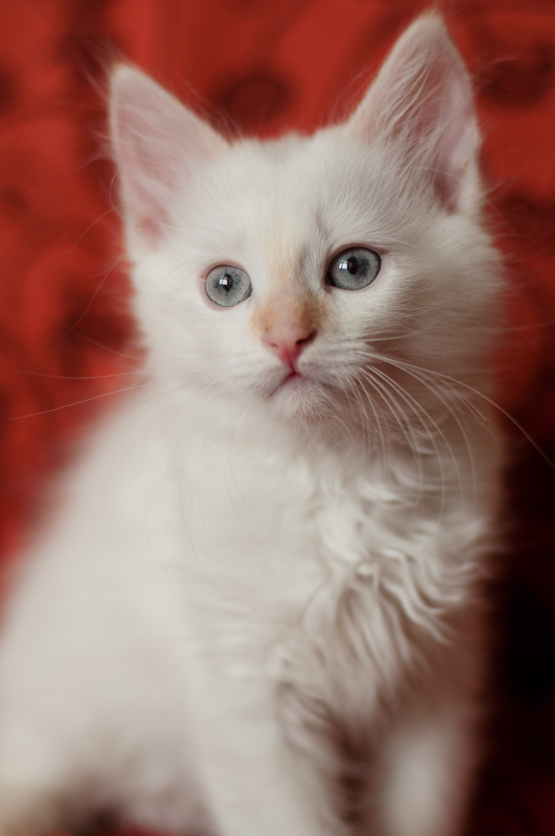 mari 9 — Postimages