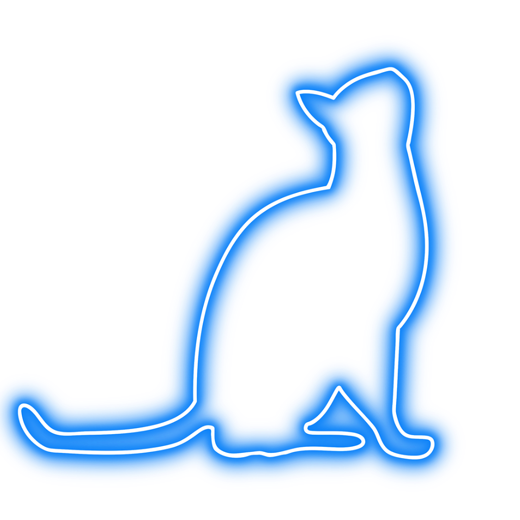 kisspng sticker cat text picsart photo studio clip art 5cb4d631d90287 ...