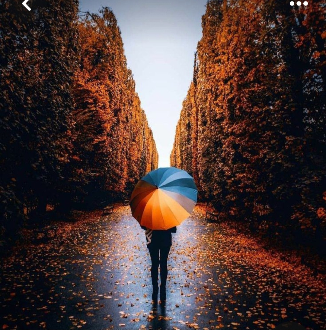 Screenshot 20231126 213108 Pinterest — Postimages