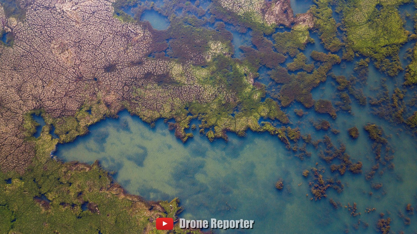 batch др 18 — Postimages