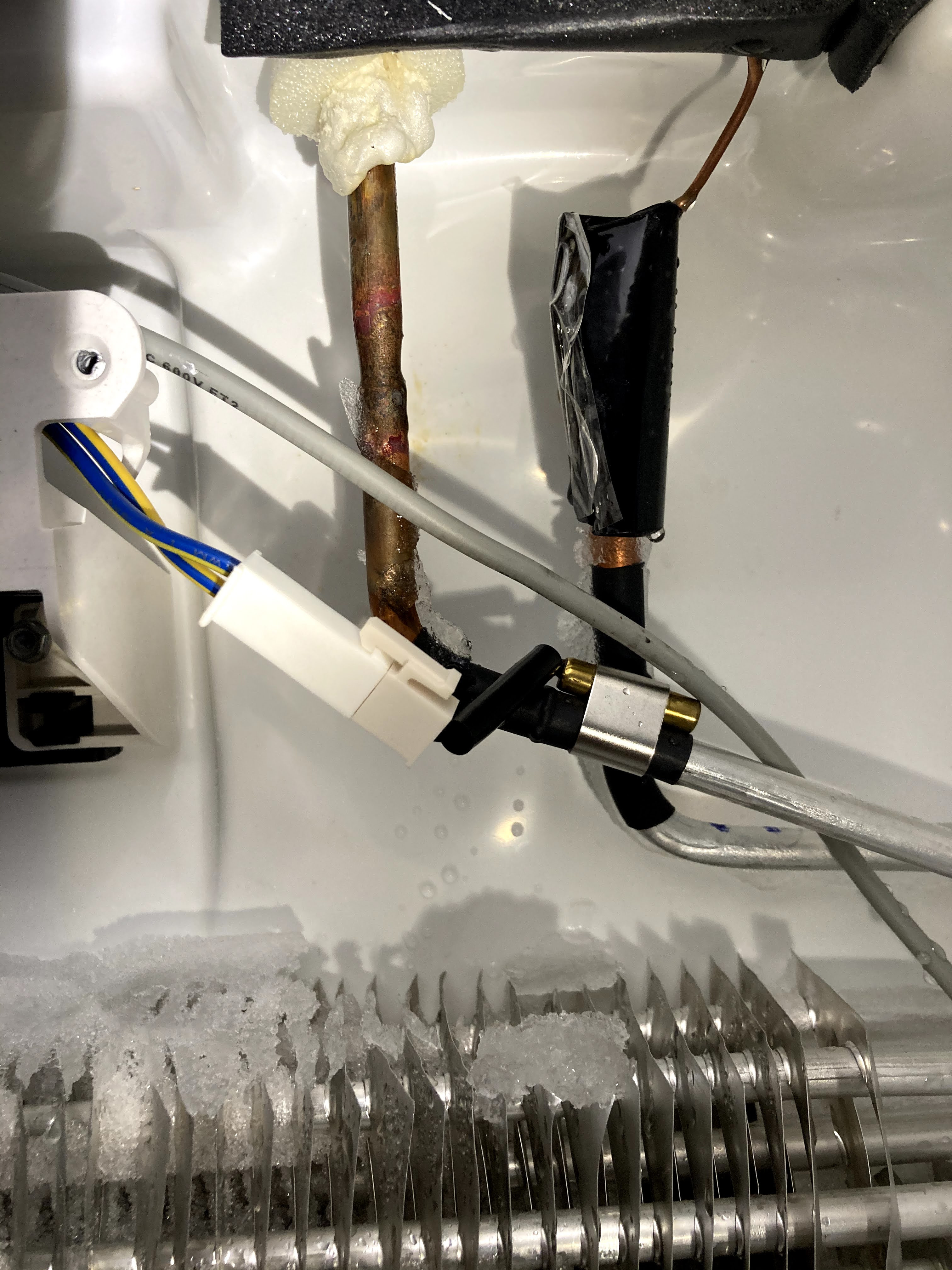 IMG 2176 — Postimages