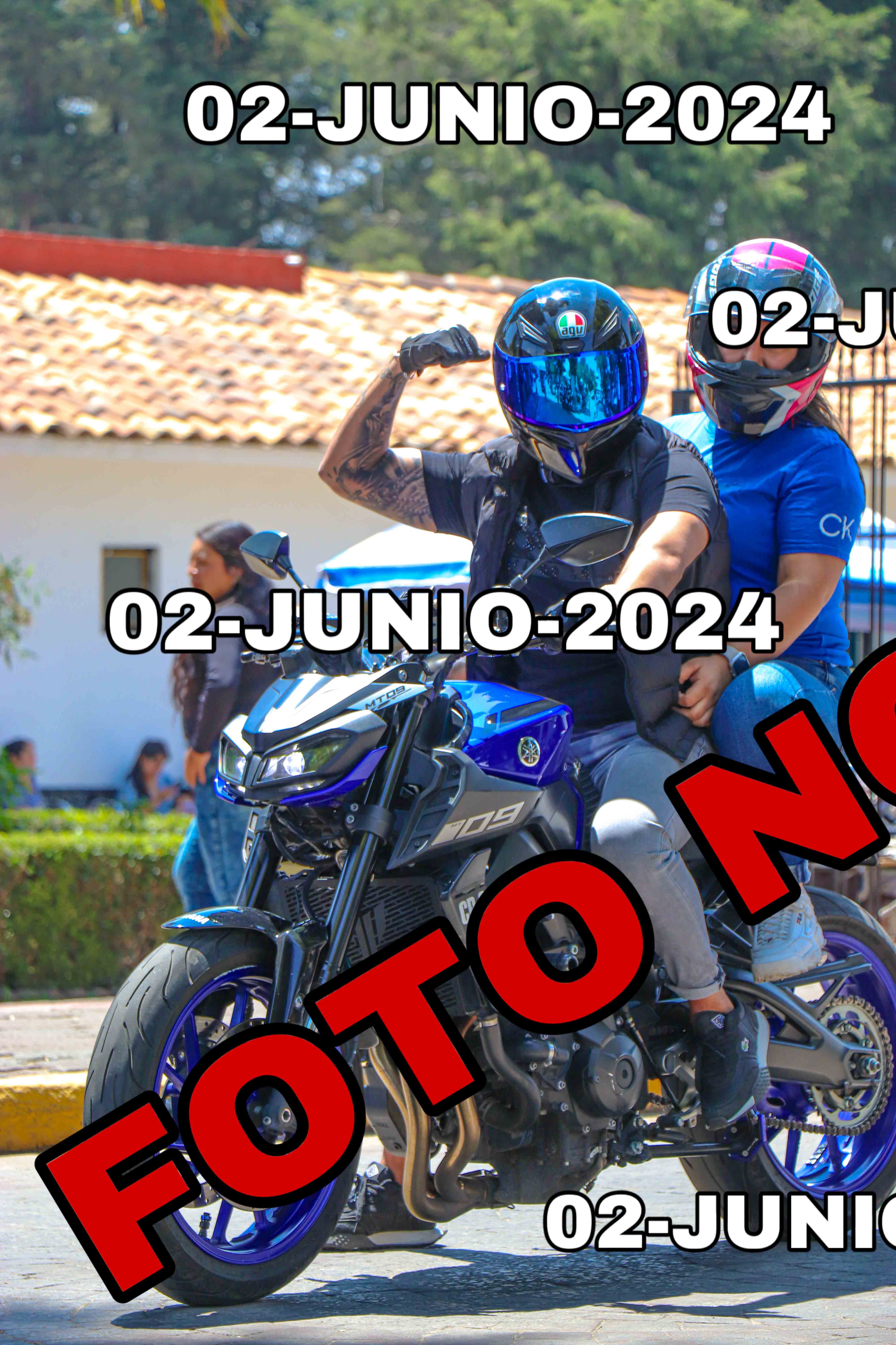 CV 293 — Postimages