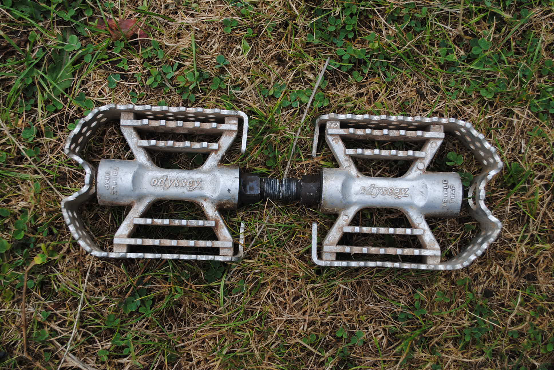 DSC 1071 — Postimages