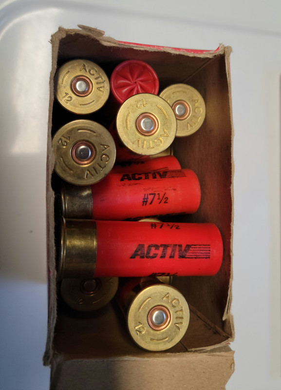 Activ exposed brass hulls. Load data? | Shotgun Forum