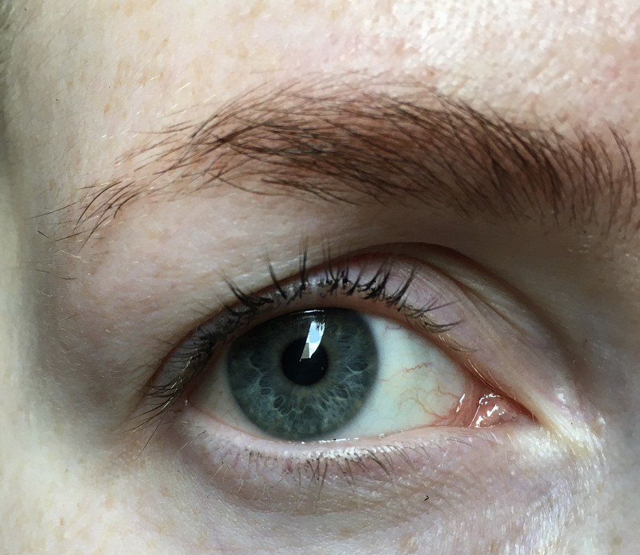 What to do with tails like this? : r/Eyebrows