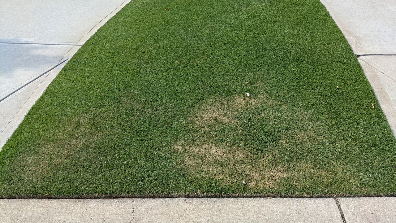 Large Patch? | Lawn Care Forum