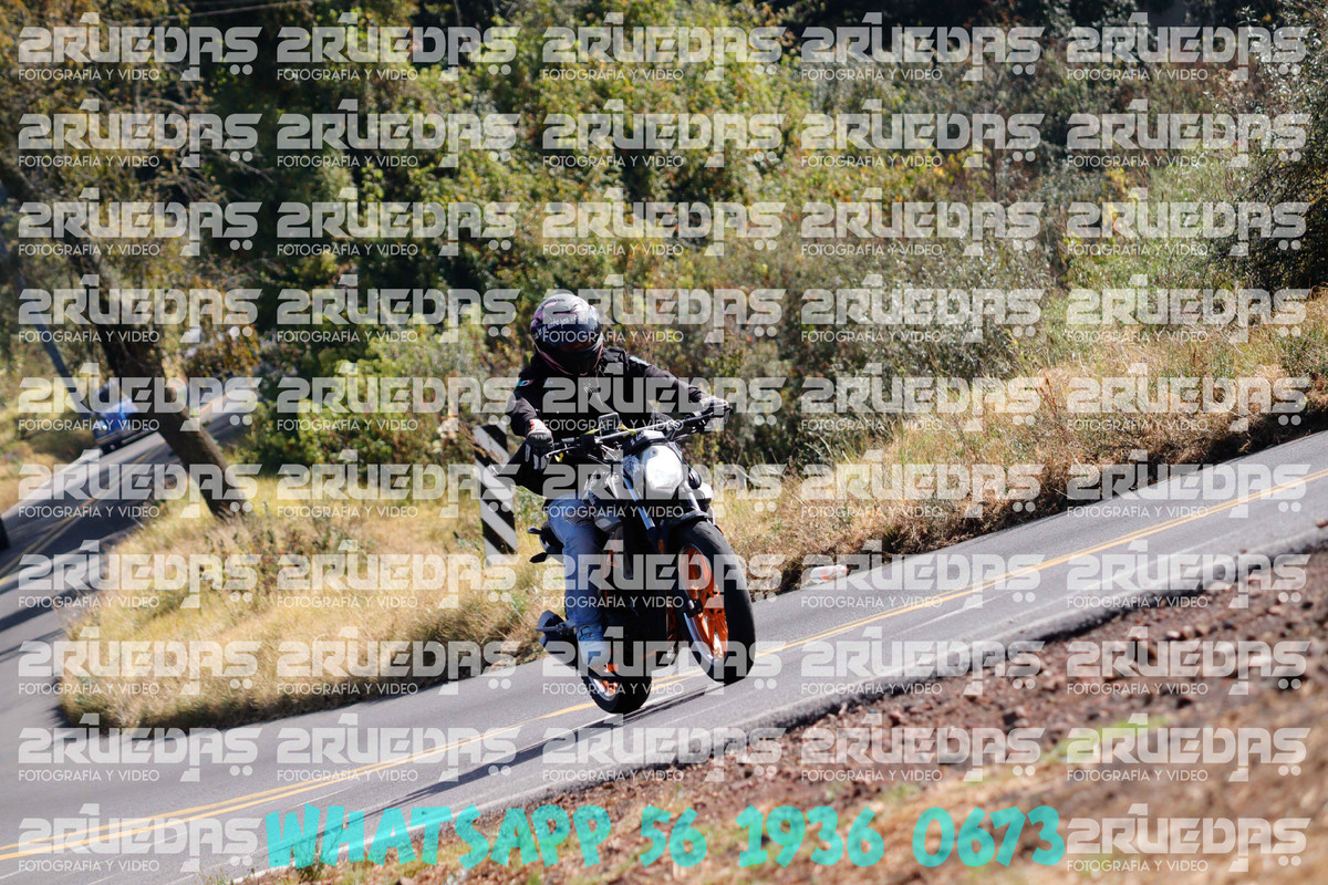 MG 0010 — Postimages