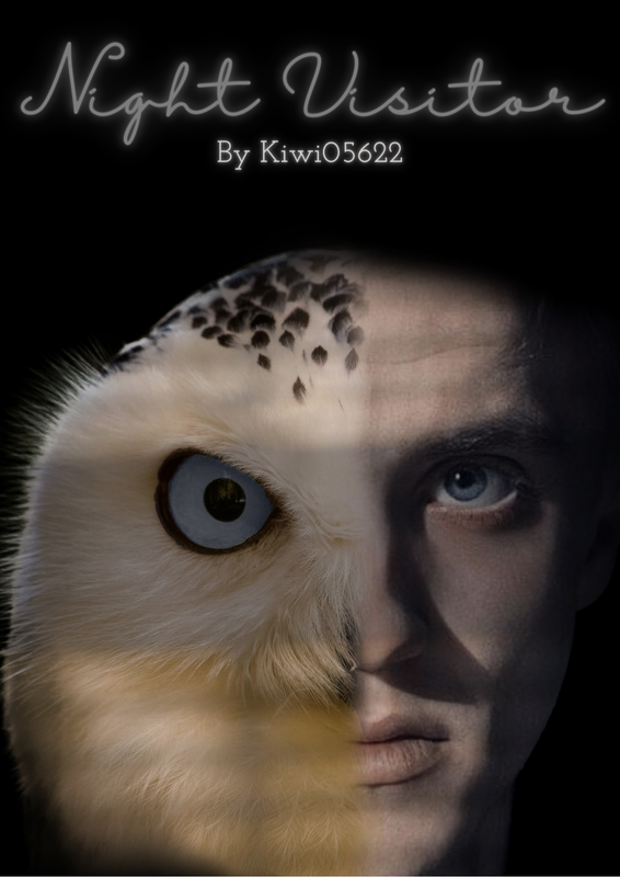 Night Visitor - Chapter 1 - kiwi05622 - Harry Potter - J. K. Rowling ...