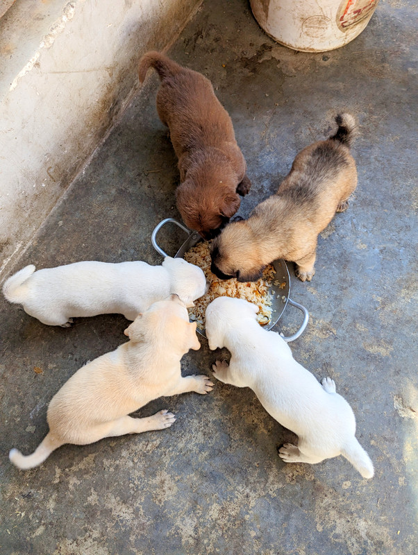 Mix 20240408 153100 — Postimages