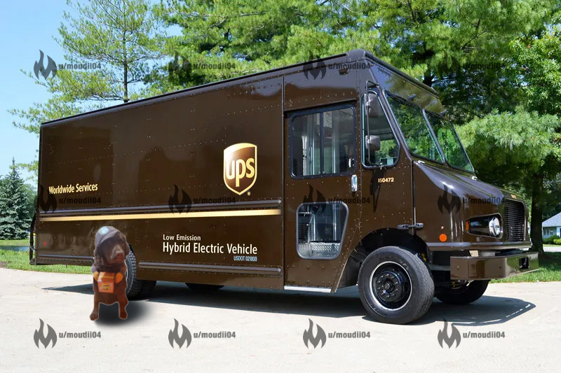 Ups dog — Postimages