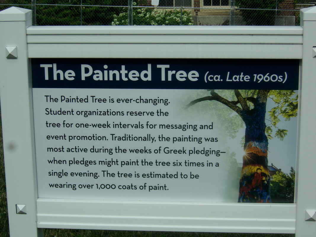 Painted Tree sign — Postimages