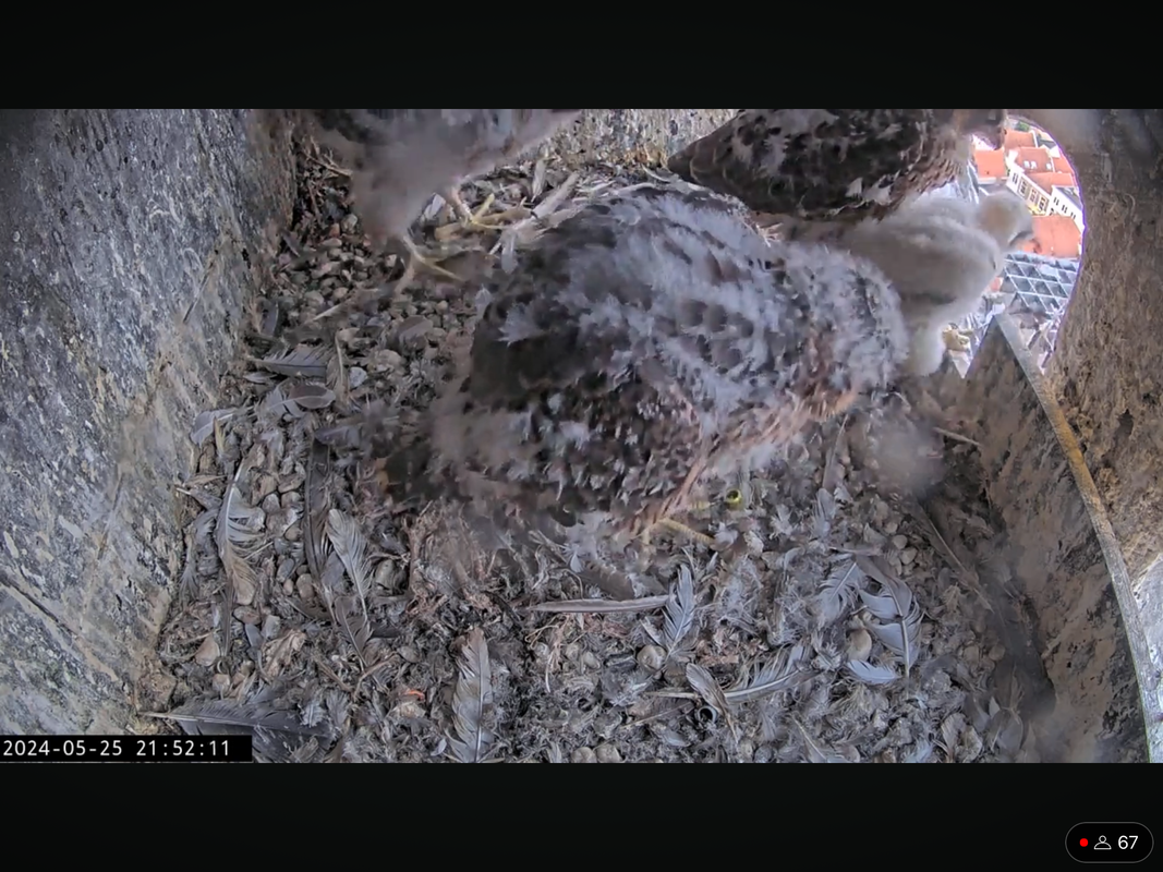 IMG 1171 — Postimages