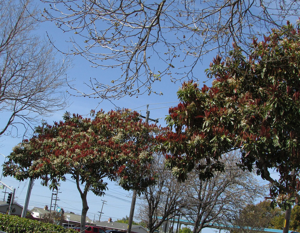 IMG 3522 — Postimages