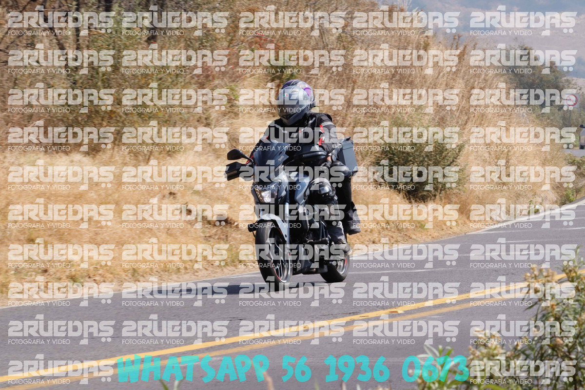 MG 0208 — Postimages