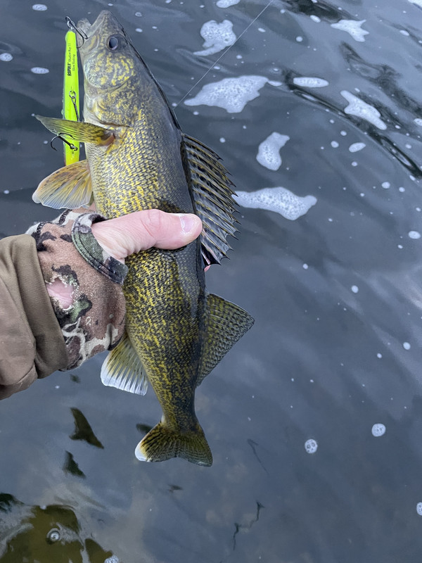 IMG 6548 — Postimages